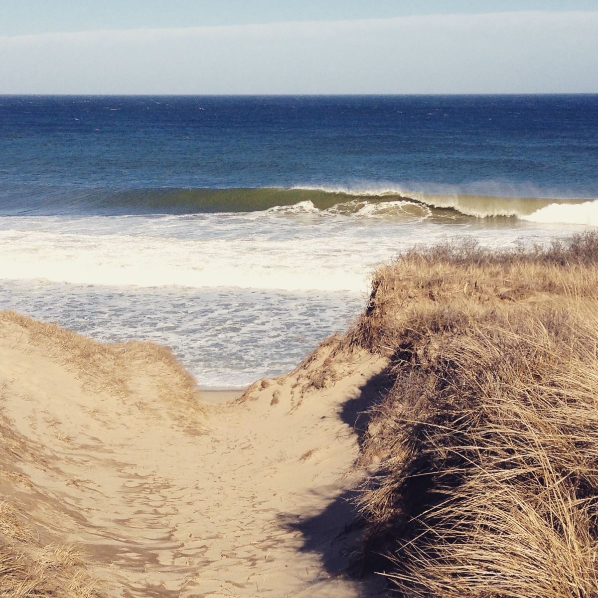 Nauset Rental - Beach Blog